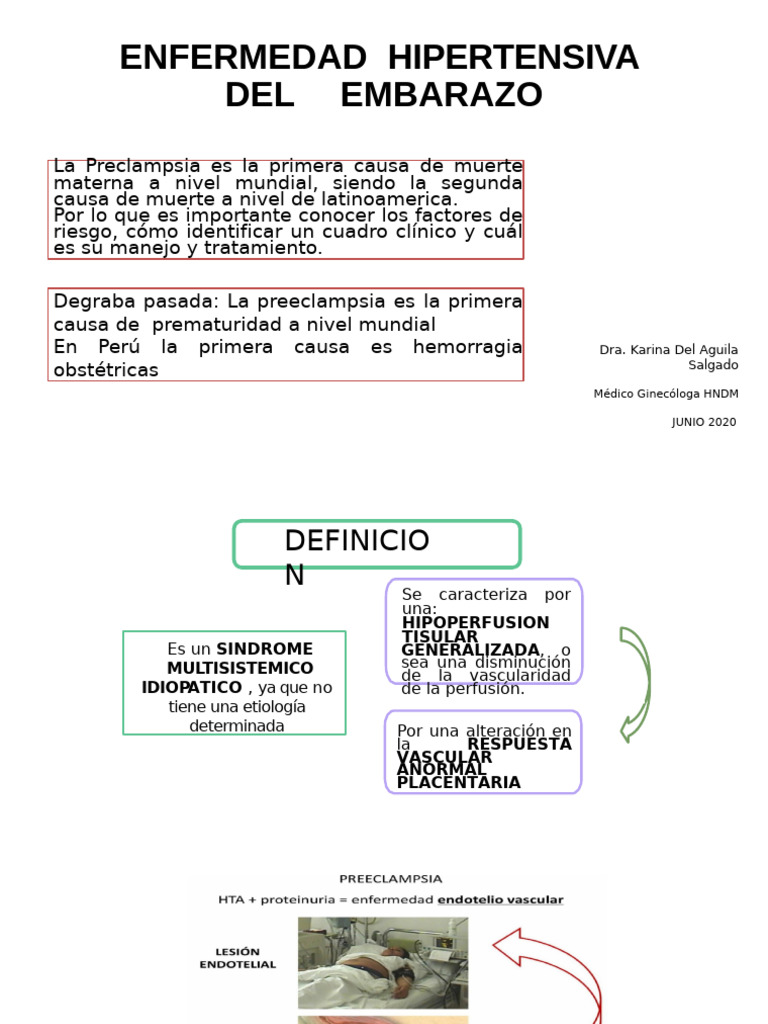 HTA Gestacional - Degraba | PDF