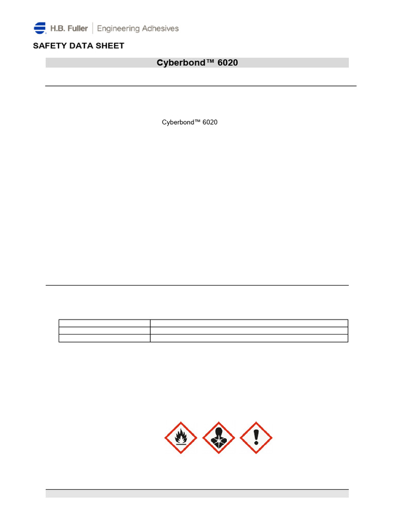 Cyberbond 6020 | PDF
