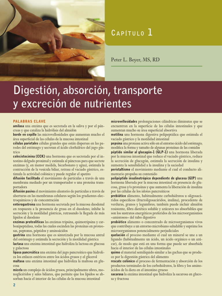 Krause-Conceptos Básicos | PDF