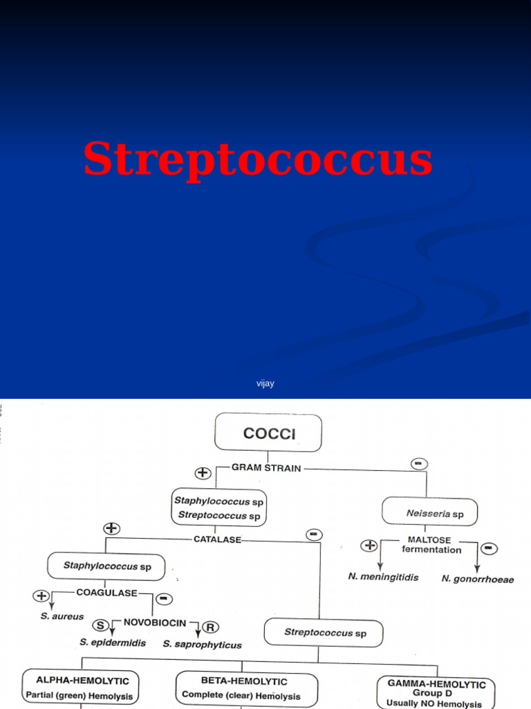 Lec 10 - STREPTOCOCCI | PDF