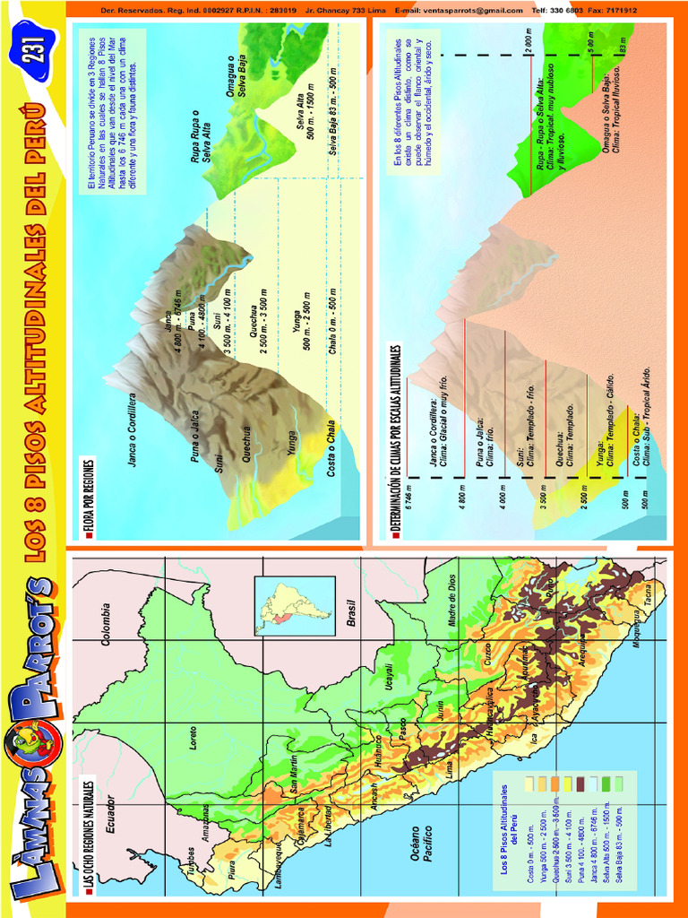 Los 8 Pisos Altitudinales Del Peru | PDF