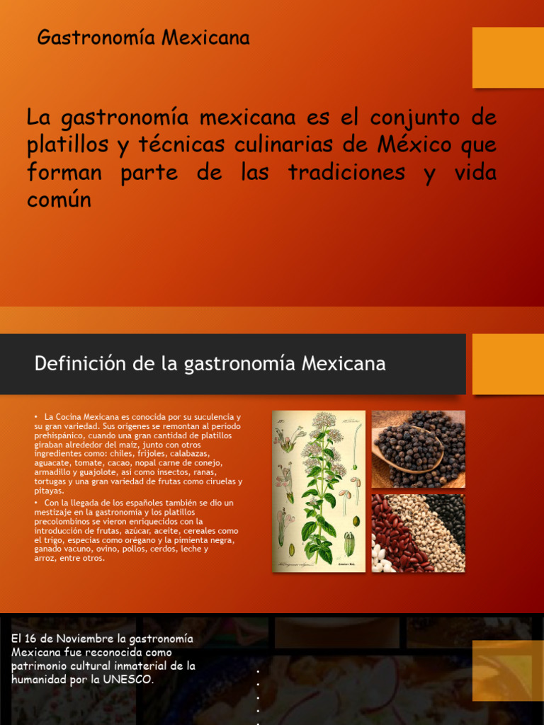 Comida Mexicana | PDF