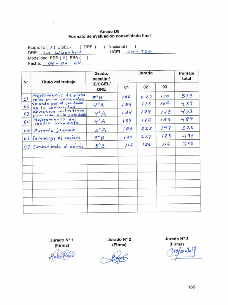 Anexo d8 Consolidado Final | PDF
