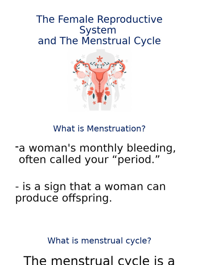 The Female Reproductive System and The Menstrual Cycle | PDF