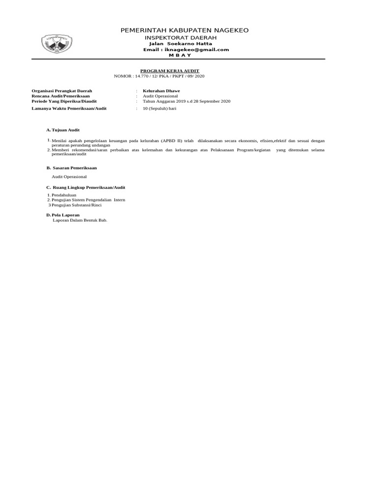 Program Kerja Audit | PDF