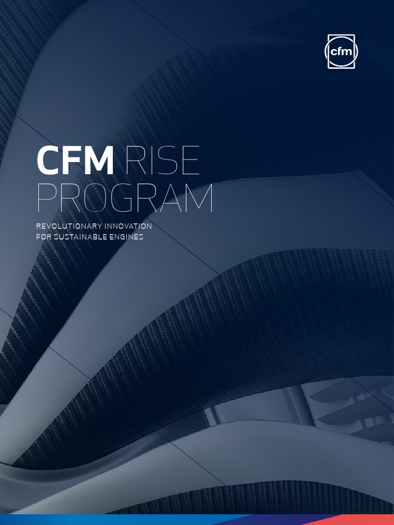 CFM RISE Whitepaper Media | PDF