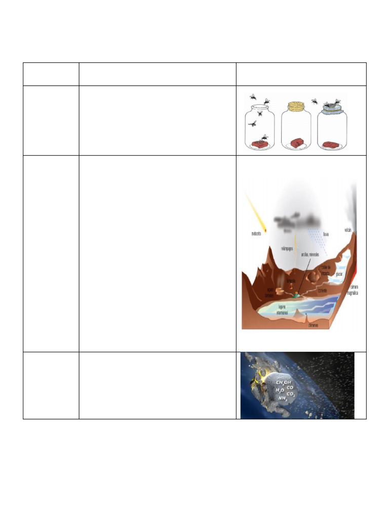 Guia Eucariotas Noveno | PDF