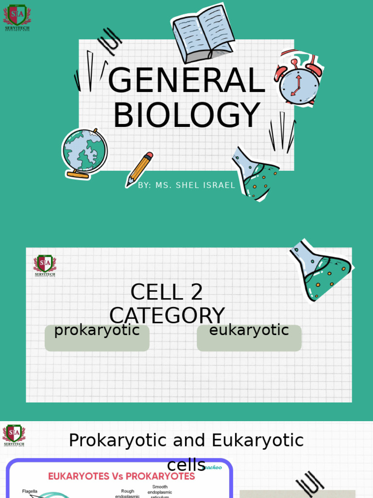 Prokaryotic Eukaryotic Cell | PDF
