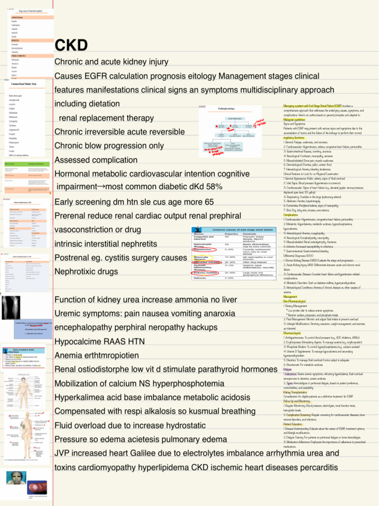 Chronic Kidney Disease | PDF