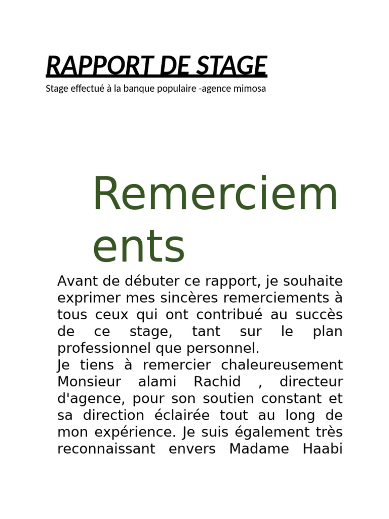 Rapport | PDF