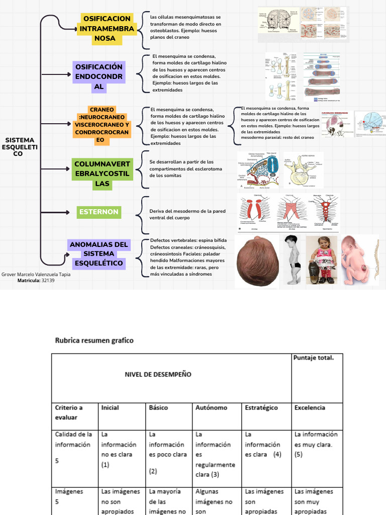 RESUMEN GRAFICO EA ] | PDF