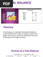 Trial Balance Practice Questions for IGCSE | PDF
