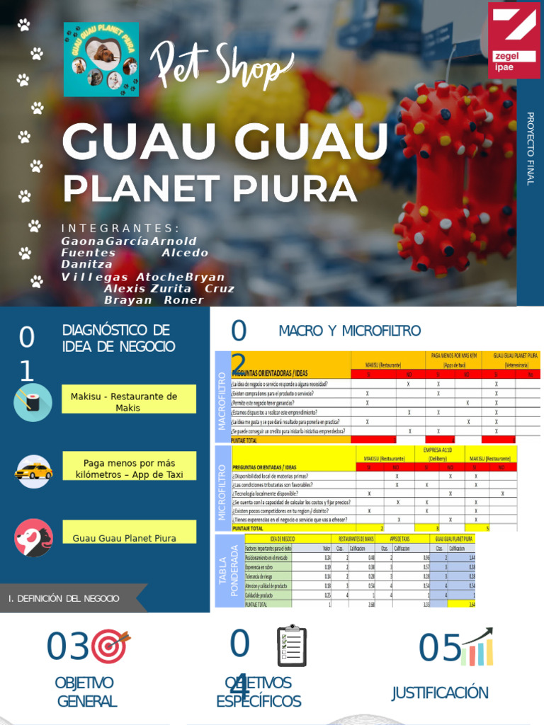 Evaluación de Proyectos - Expo Final | PDF