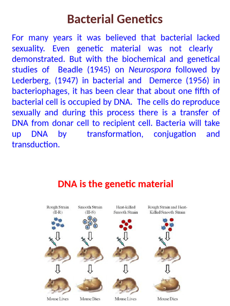 Gene Transfer in Bacteria Ashu | PDF