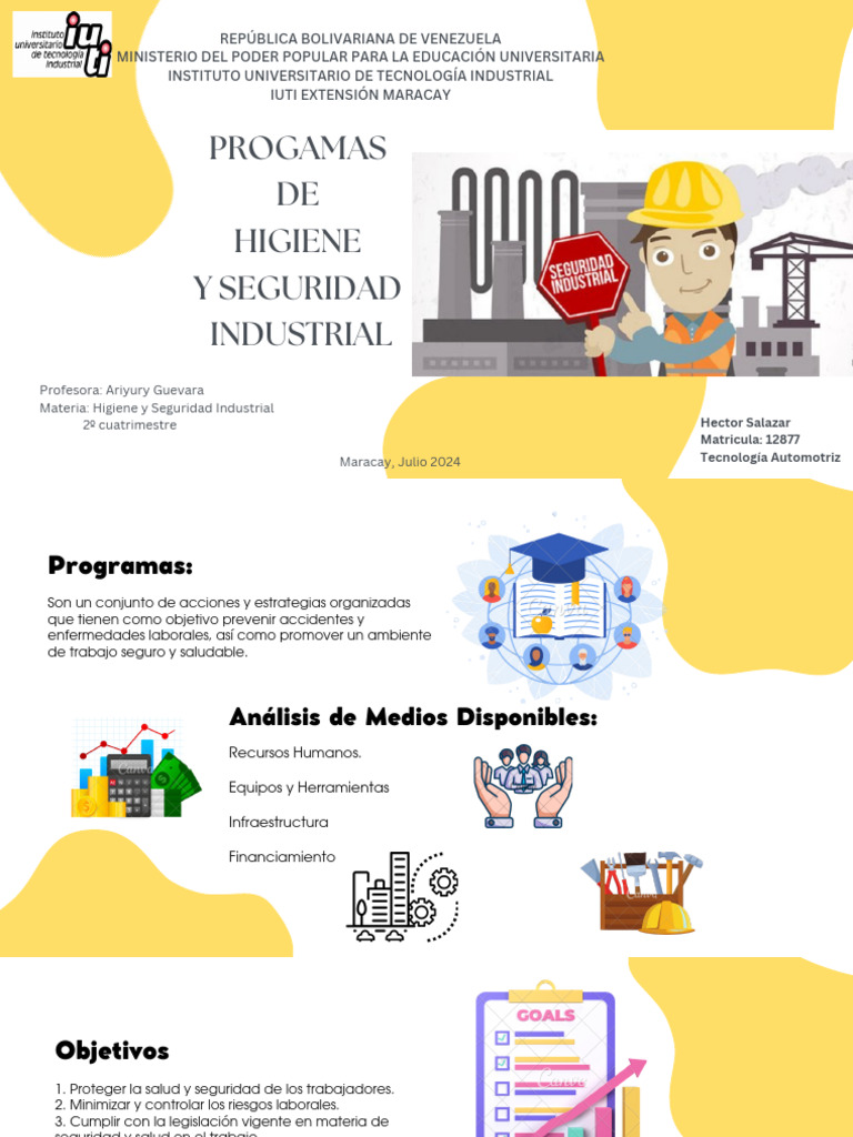 Programas de Higiene y Seguridad Industrial | PDF