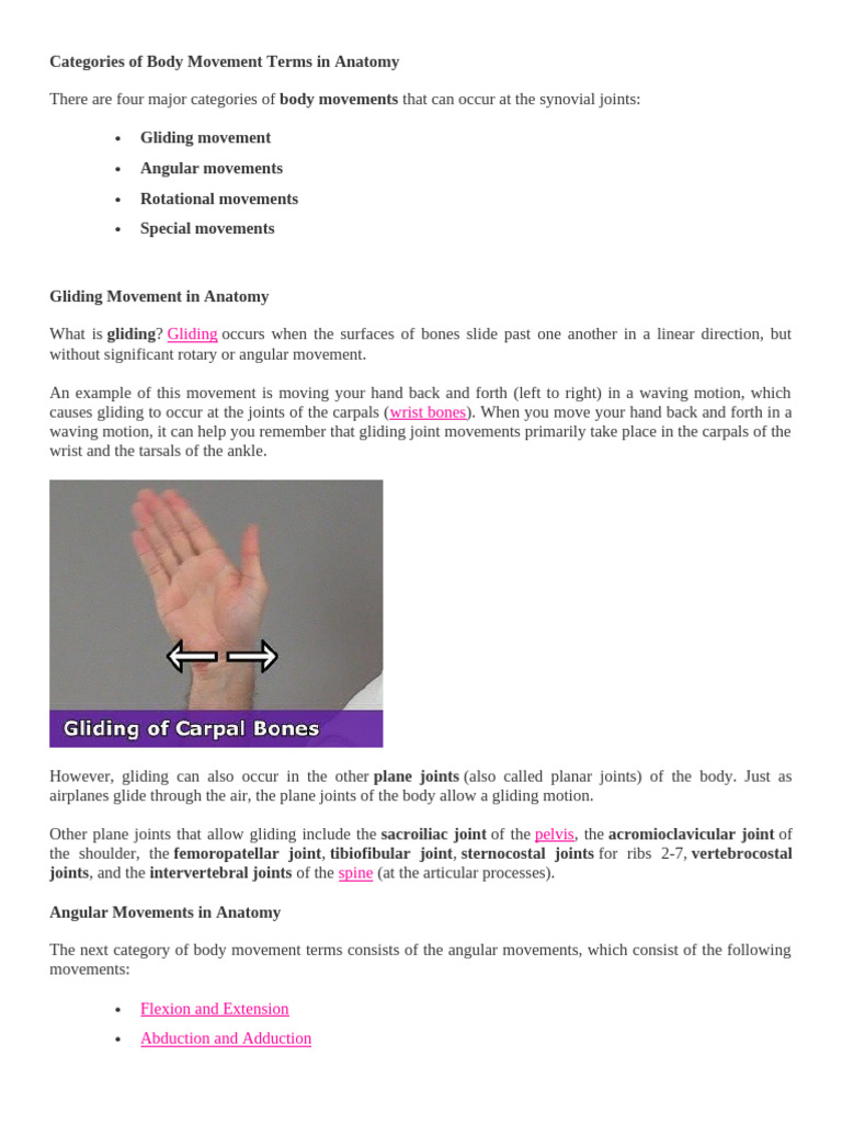 Anatomy of Body Movements | PDF | Anatomical Terms Of Motion | Thumb