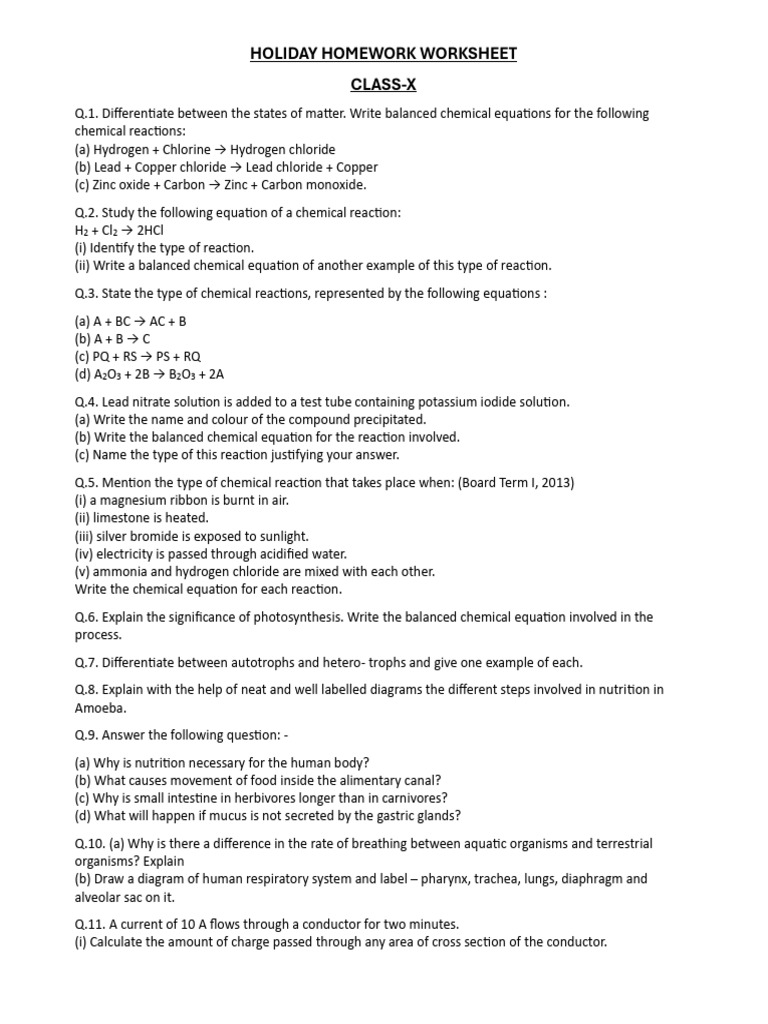 Worksheet Class X | PDF