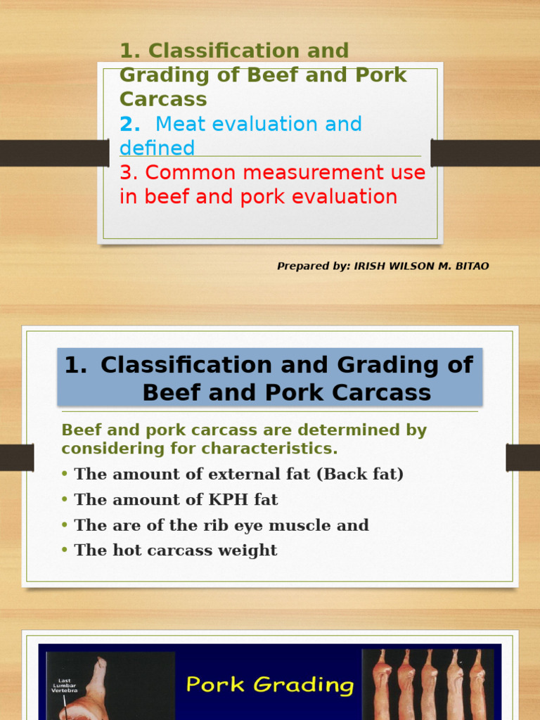 Meat Classification and Grading | PDF