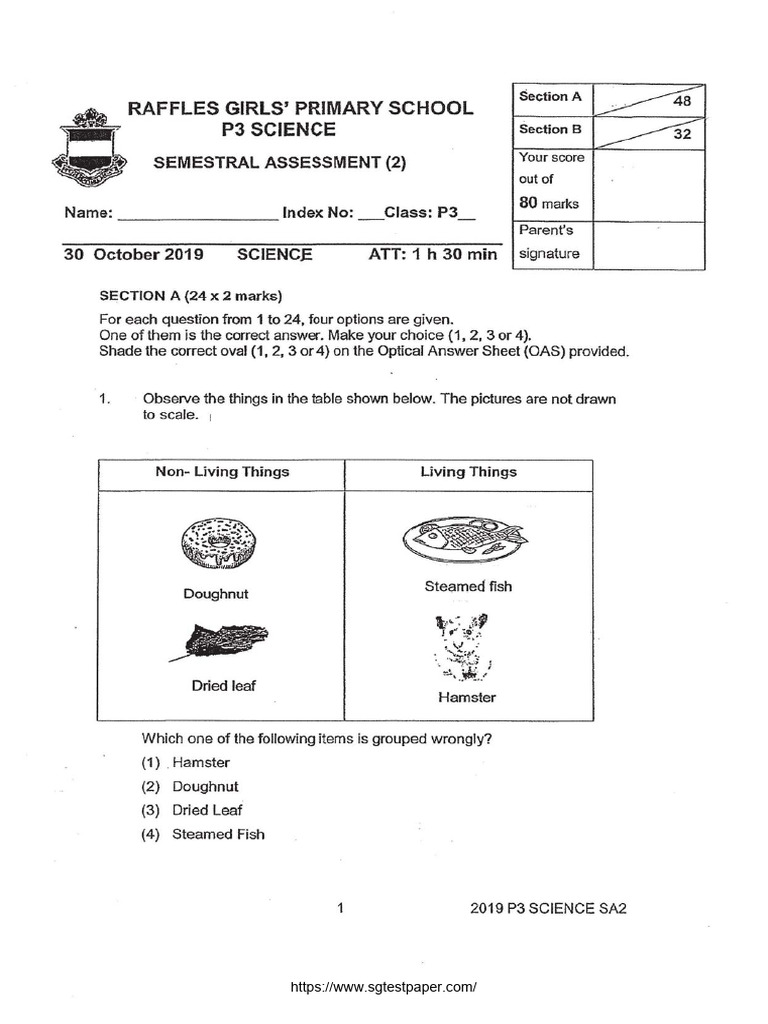P3 Science SA2 2019 Raffles Exam Papers | PDF