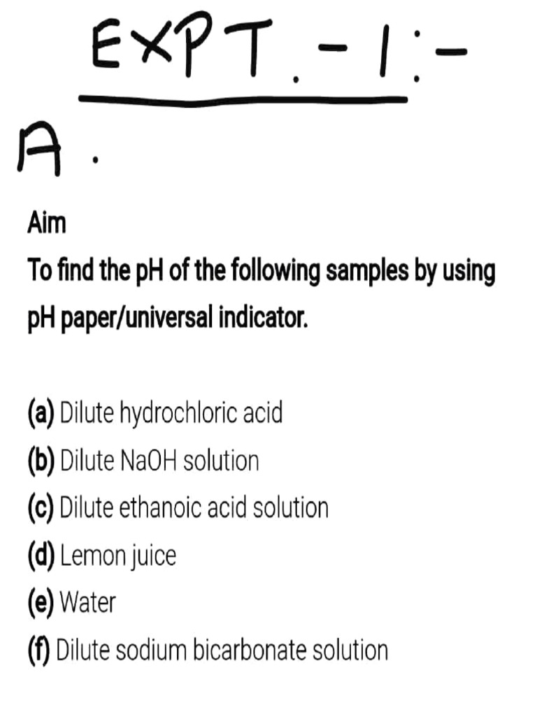 Class 10, Practical File Work, 2022-23 | PDF