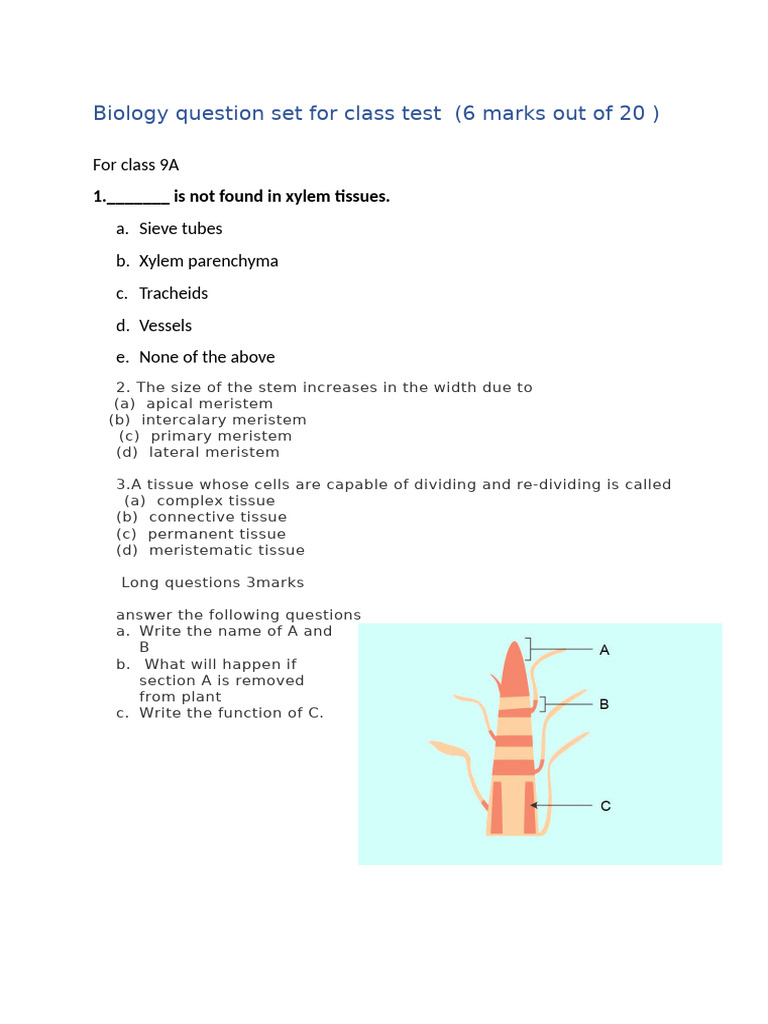 Biology Question Set For Class Test | PDF
