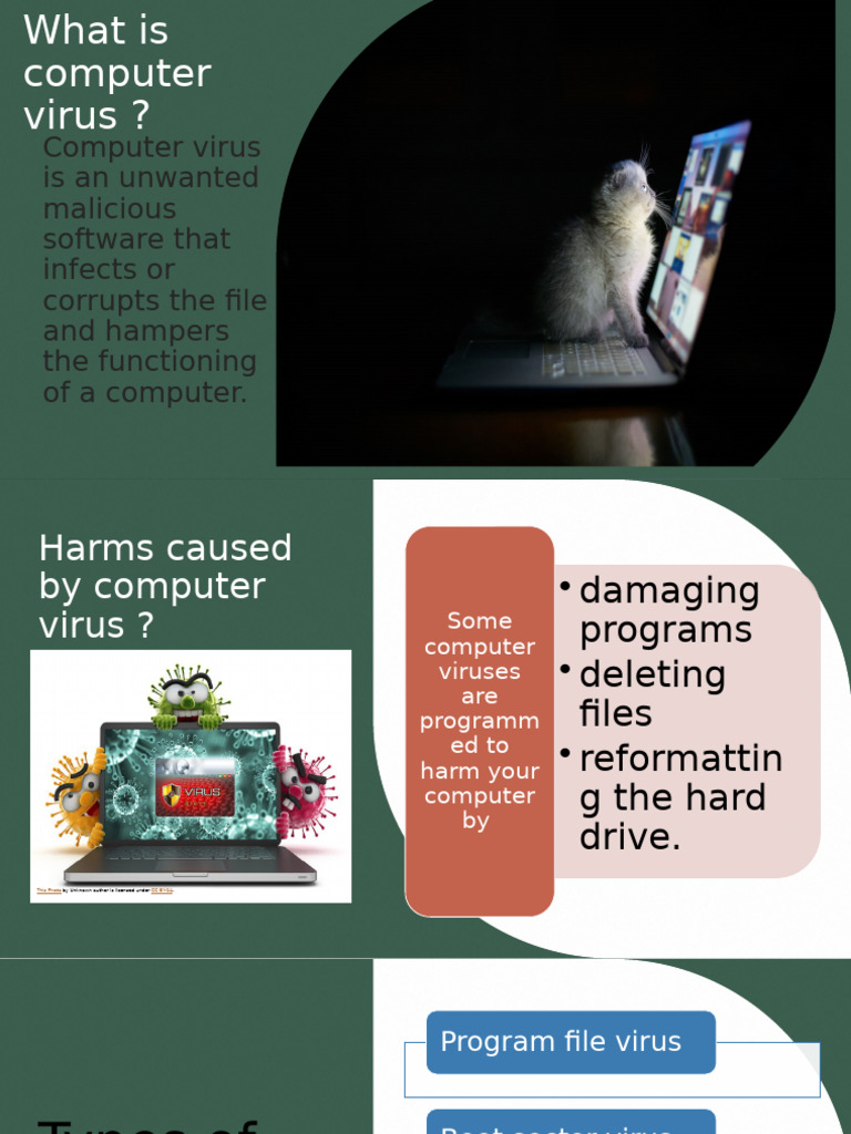 Presentation 1 (HHW Disha | PDF