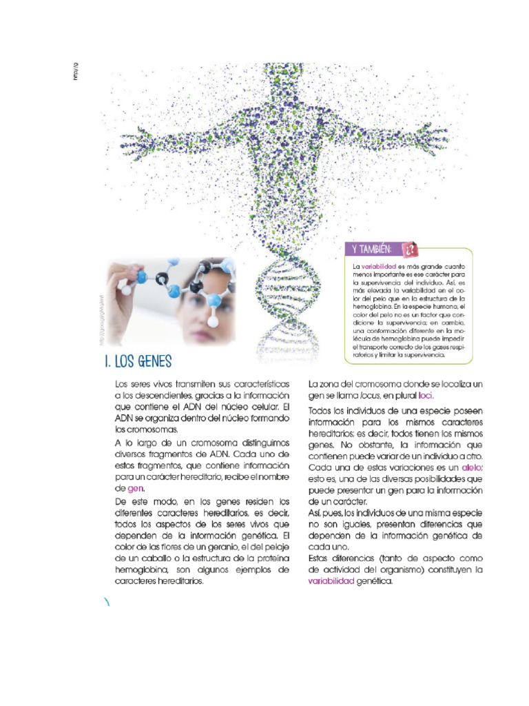 Genes Biologia 2 BGU 2T | PDF
