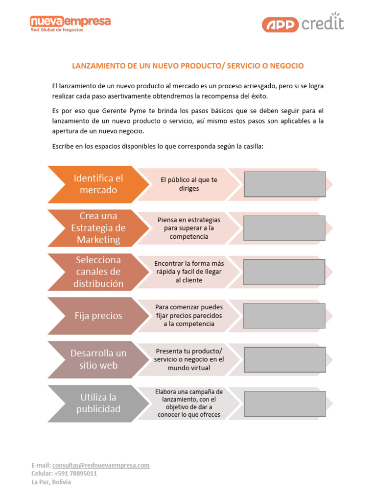 Lanzamiento de Un Nuevo Producto-Servicio o Negocio | PDF | Negocios