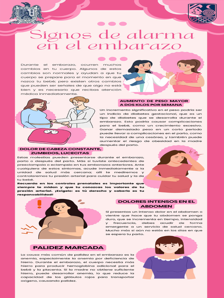 Infografia Signos de Alarma en El Embarazo | PDF