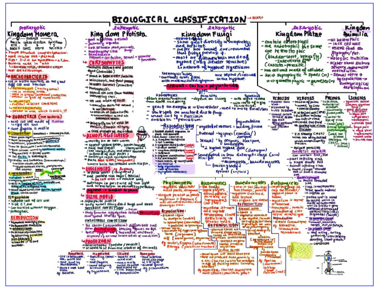 Master Map - Biological Classification | PDF