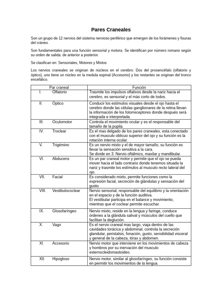 Resumen Pares Craneales | PDF