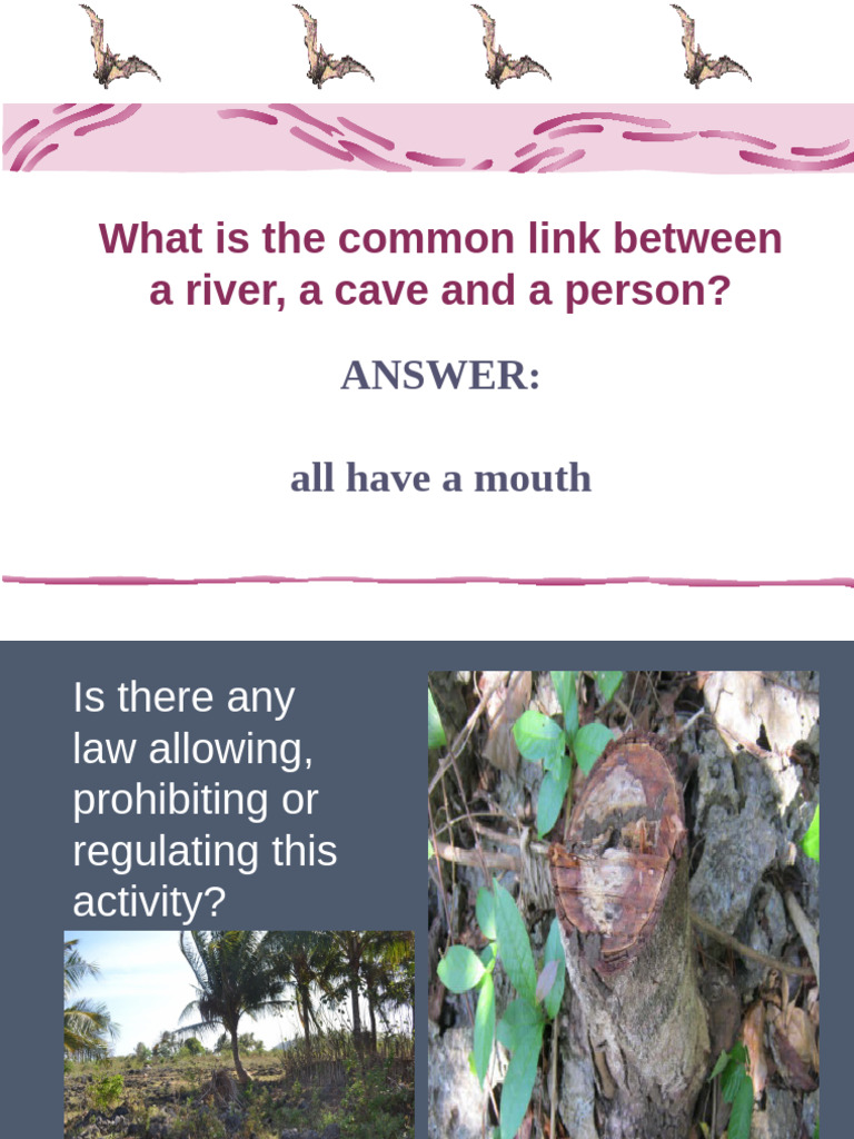 Cave Act R.A. 9072 | PDF