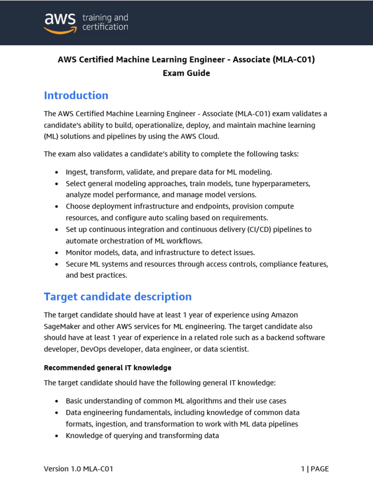 AWS ML Associates | PDF
