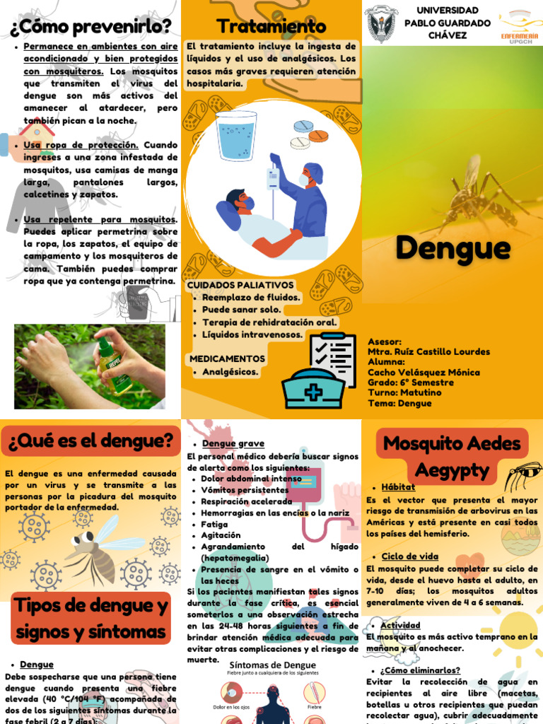 Dengue Triptico | PDF