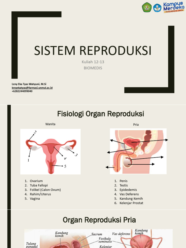 Sistem Reproduksi | PDF