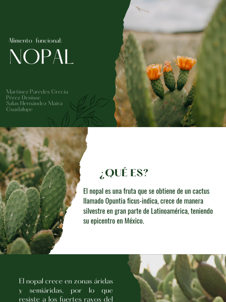 Alimento Funcional Nopal 20240408 124216 0000 | PDF