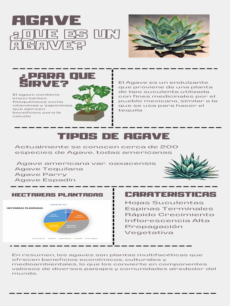 Agave | PDF