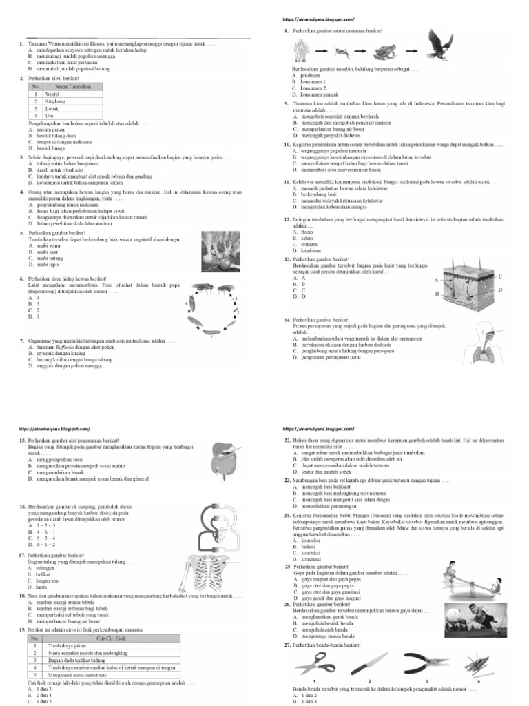 Microsoft Word - USBN-ipa-1 | PDF