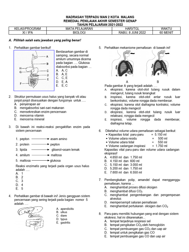 REMEDIAL PAT BIO XI Genap 2022 | PDF