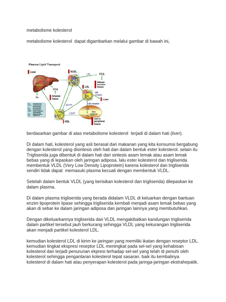 Metabolisme Kolesterol | PDF