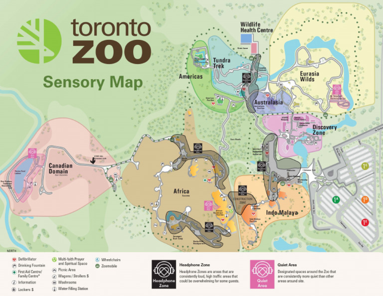 Sensory Map | PDF