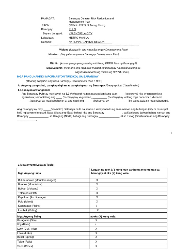 BDRRMP Template | PDF