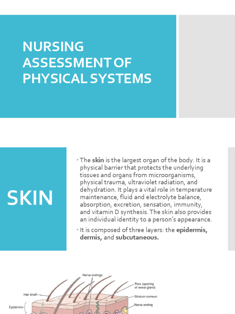 Nursing Assessment of Physical Systems | PDF