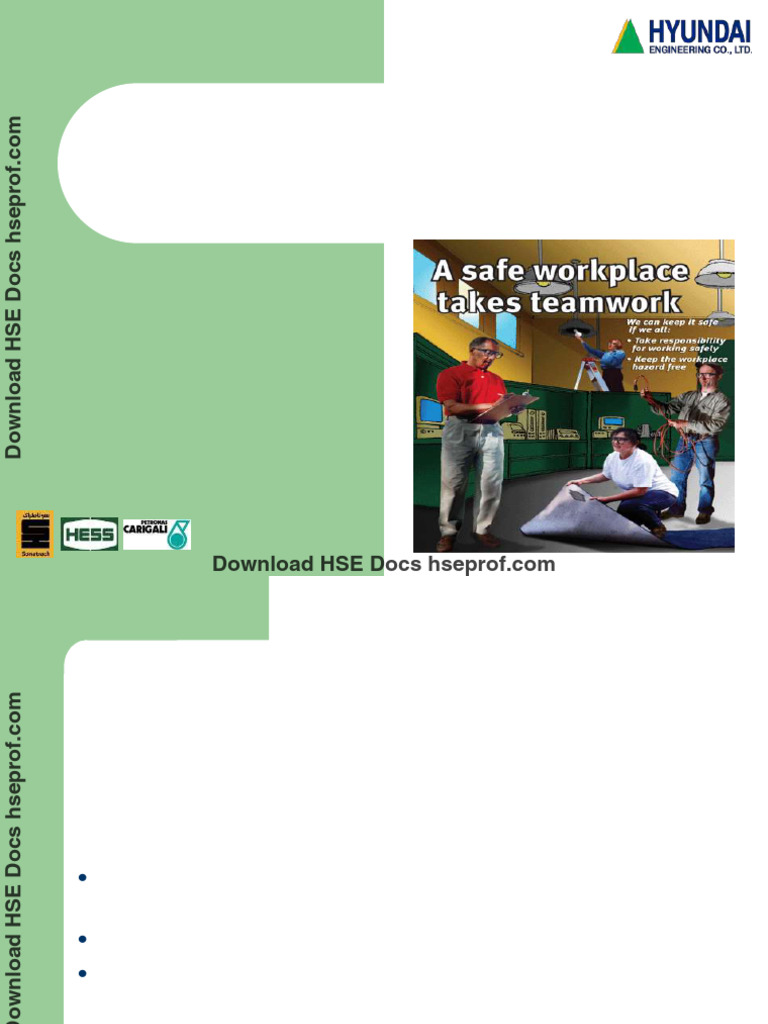 HSE_Auditing_hseprof_com_1724522767 | PDF