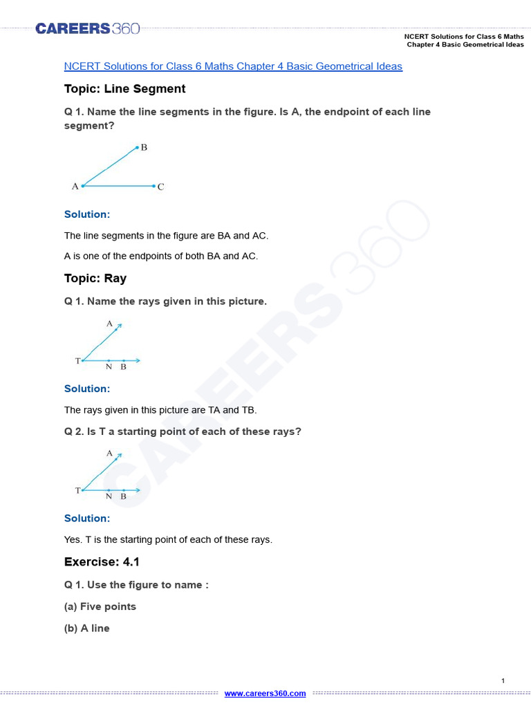 NCERT Solutions For Class 6 Maths Chapter 4 Basic Geometrical Ideas | PDF