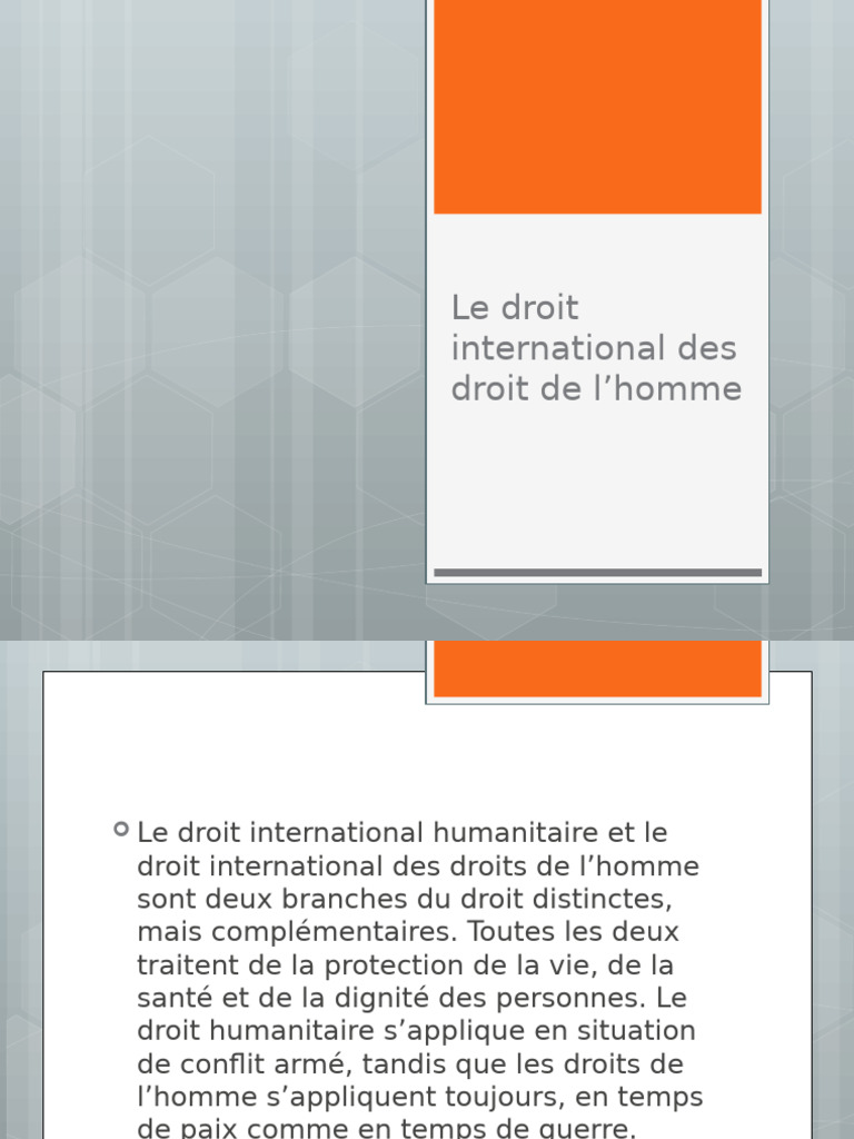 Le Droit International Des Droit de L'homme | PDF