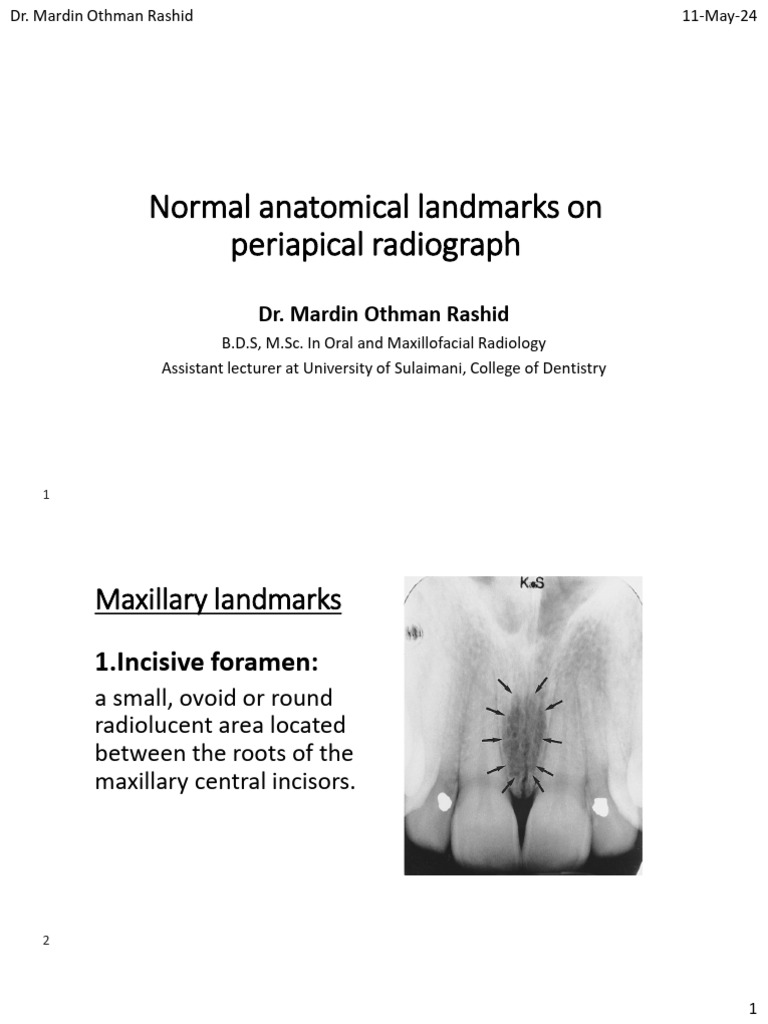 Anatomical Landmarks 2024 | PDF