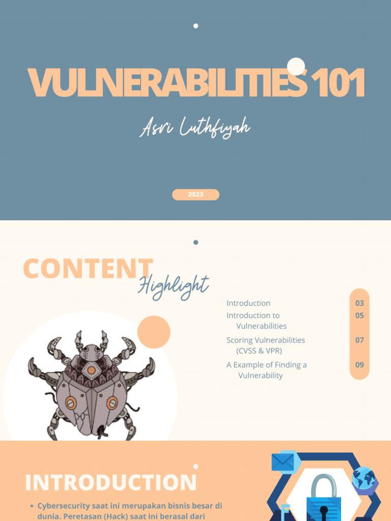 Vulnerability | PDF