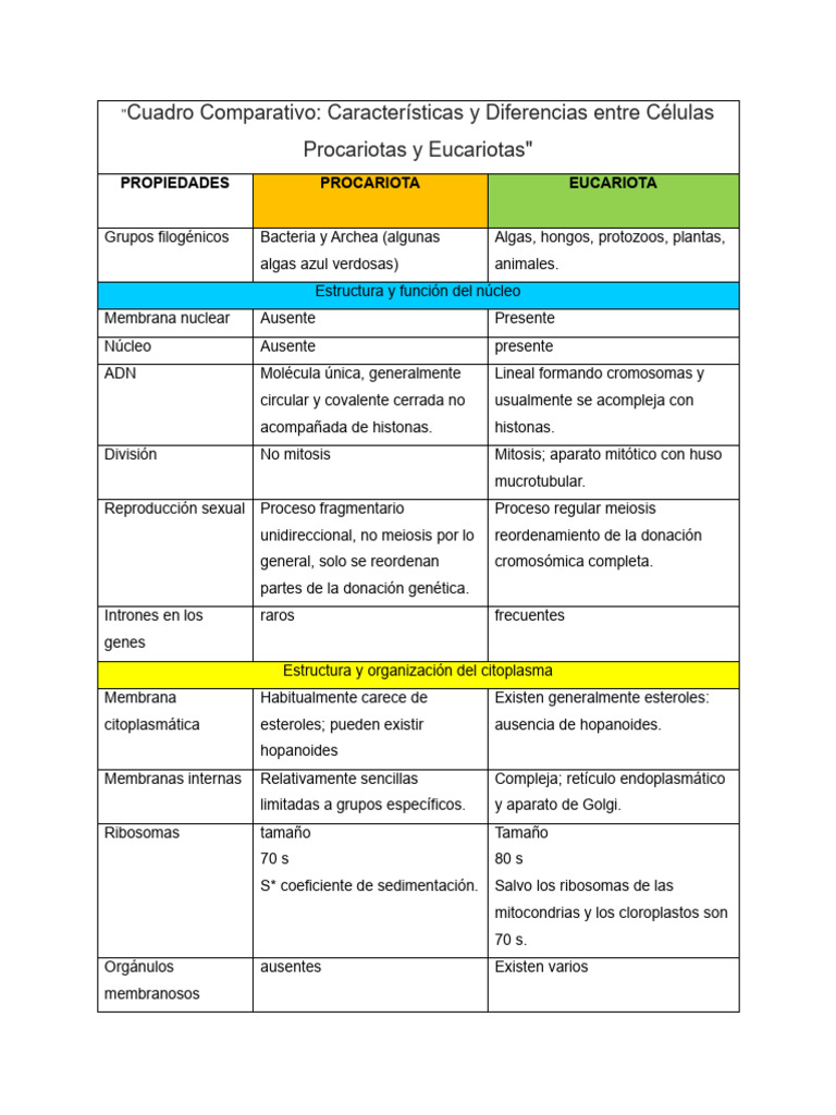 Cuadro Comparativo Celula Eucariota y Procariota | PDF