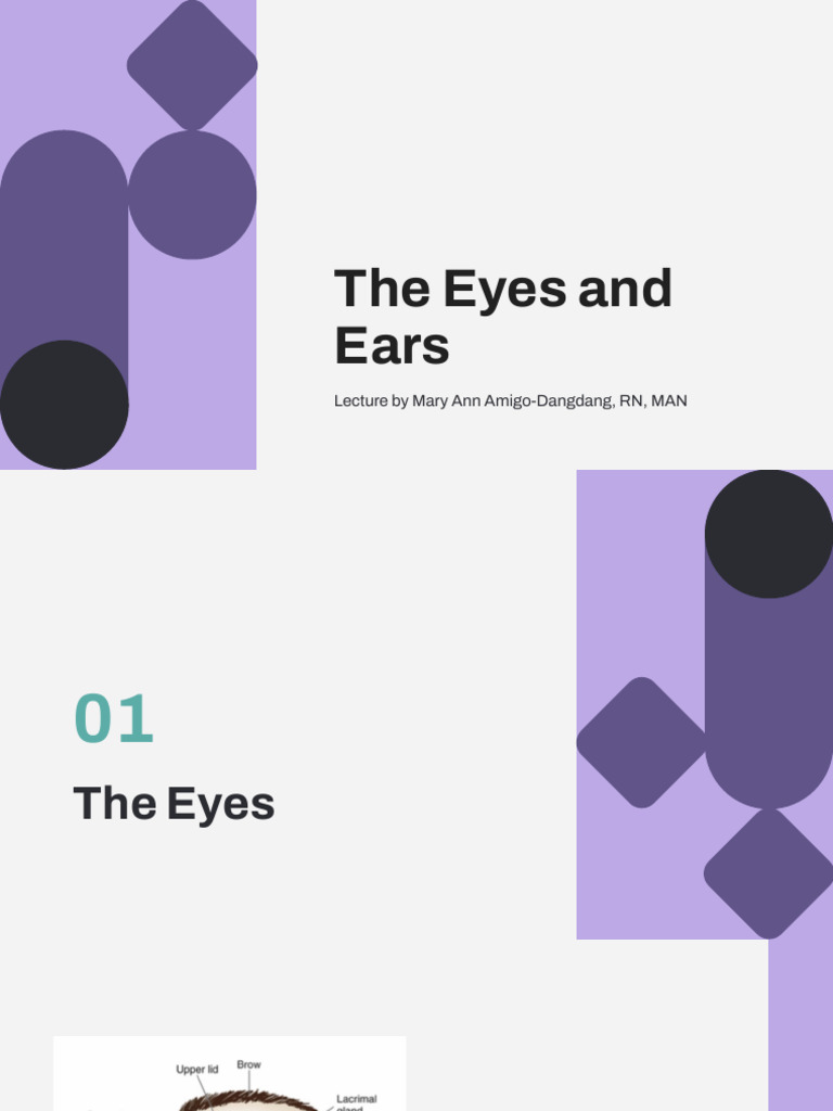 The Eyes and Ears | PDF